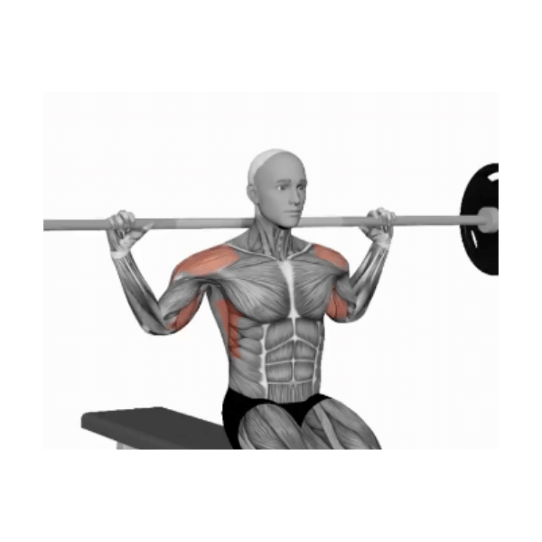Barbell behind neck military press instructions - BP Training and Coaching