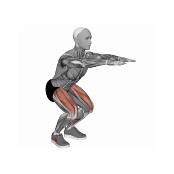 Bodyweight squat instructions - BP Training and Coaching