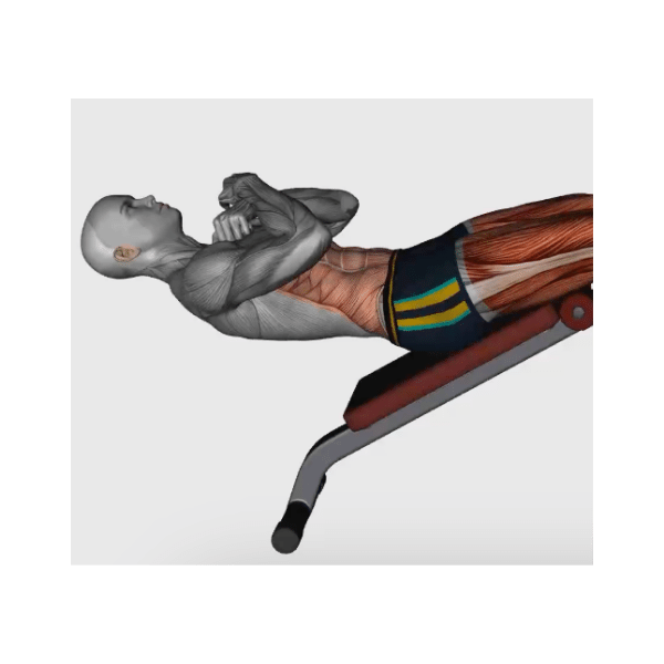 Oblique crunches using a decline bench instructions - BP Training and ...