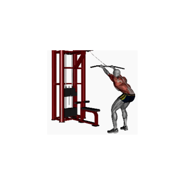 Straight-bar cable pulldown instructions - BP Training and Coaching
